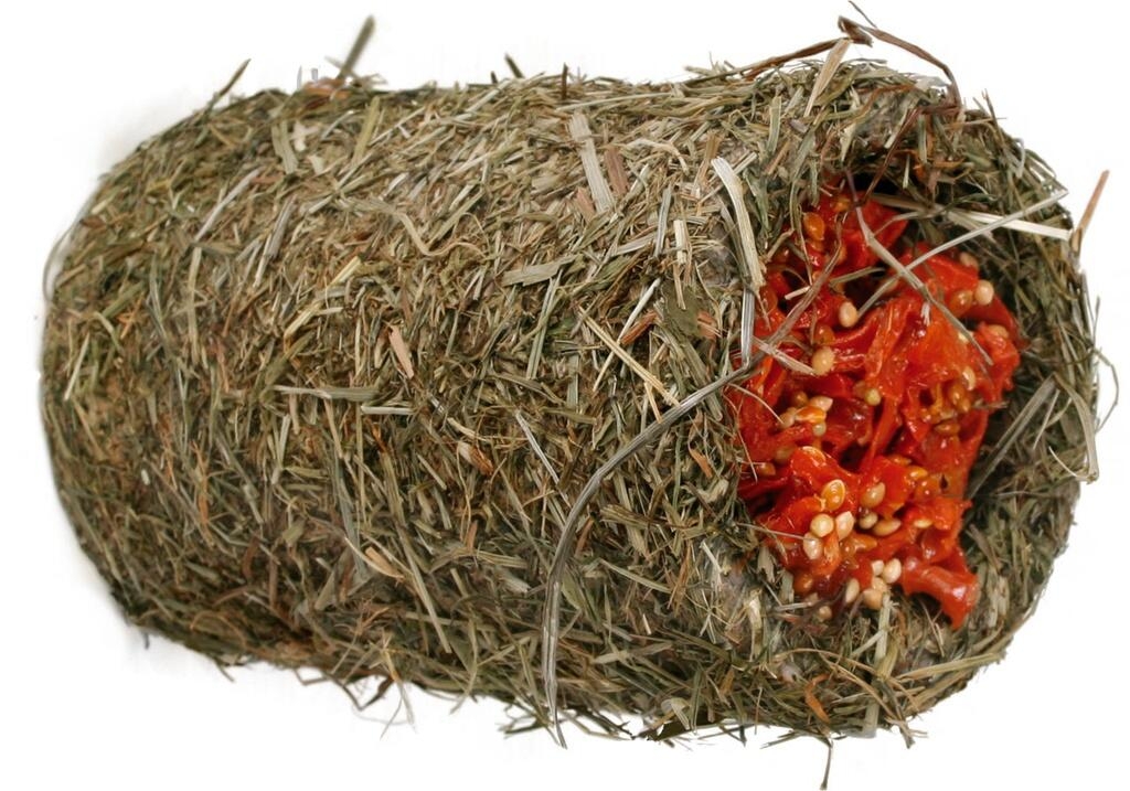 JR Farm Høtunnel Fyldt med Gulerod